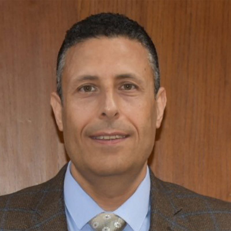 Alexandria Mineral Oils Company (AMOC) - Top 50 Listed Companies In ...