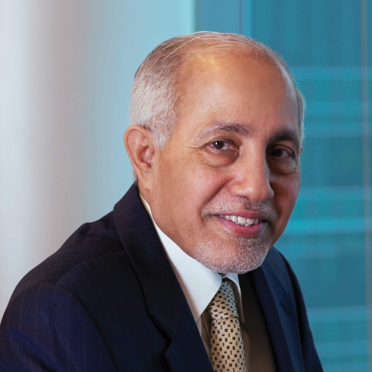 Hayel Saeed Anam Group (HSA Group) - Top 100 Arab Family Businesses ...