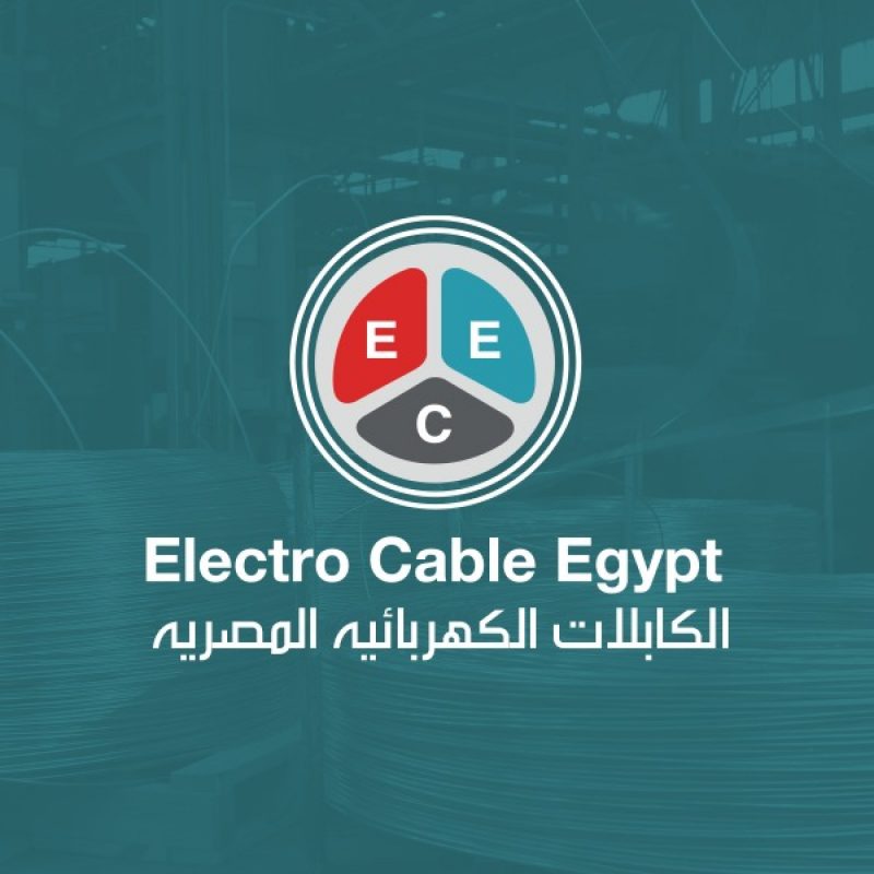 Electro Cable Egypt (ECE) * - Egypt’s Top 50 ListedCompanies 2024- Forbes Lists