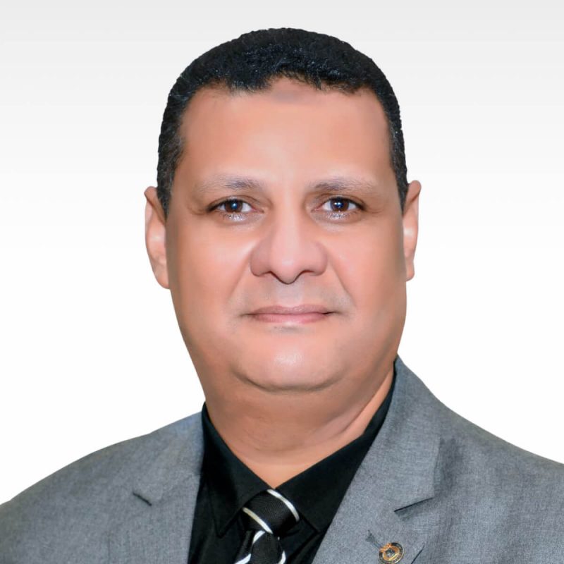 Aluminum Company of Egypt (Egyptalum) - Egypt’s Top 50 Listed Companies ...