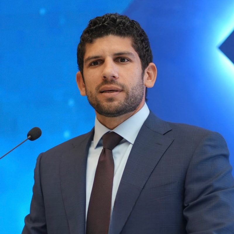 Raya Holding - Egypt’s Top 50 Listed Companies 2025 - Forbes Lists